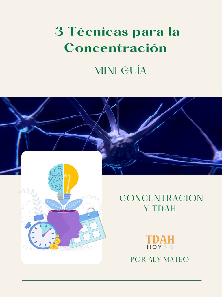 Mini Guia de Concentracion | PDF