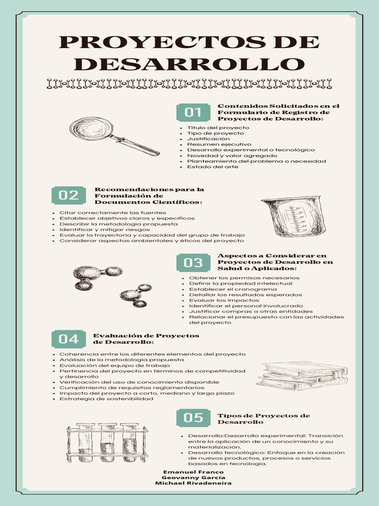 Infografia Proyectos de Desarrollo | PDF | Sustentabilidad
