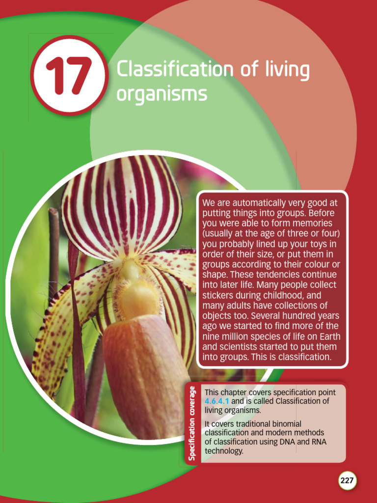 17 GCSE Classification of Living Organisms | PDF | Species | Homo
