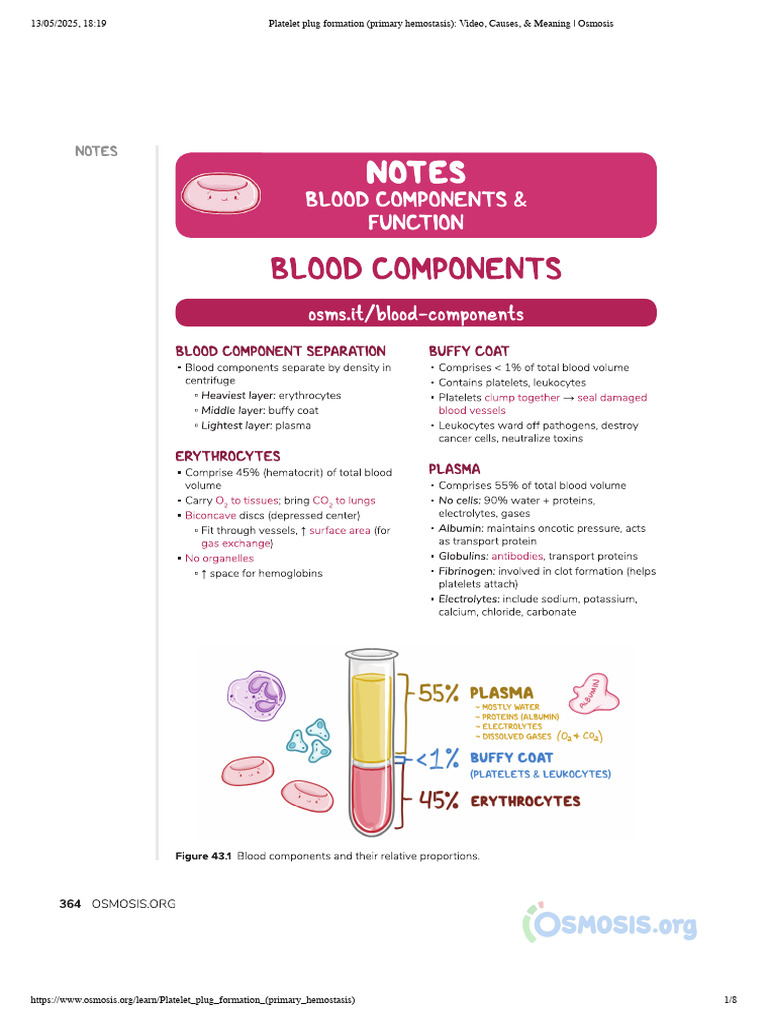 Platelet Plug Formation (Primary Hemostasis) - Video, Causes, & Meaning ...