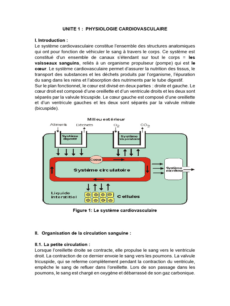 Cours 01: La Physiologie de L'appareil Cardio Vasculaire | PDF | Sang ...