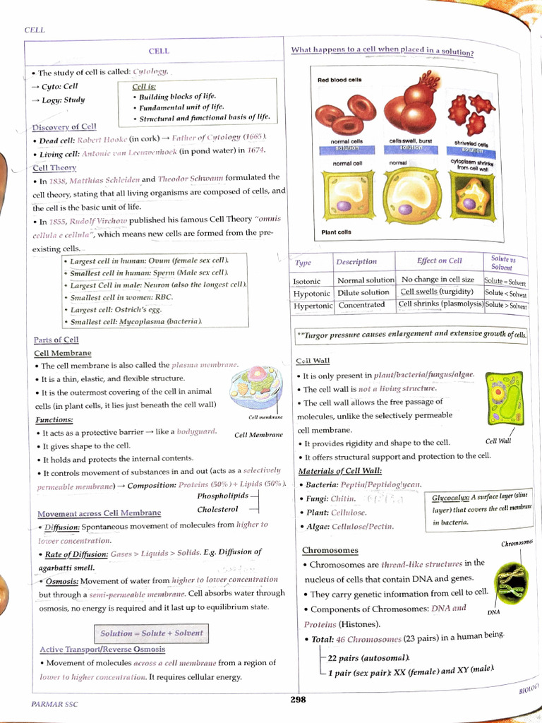 Biology Full | PDF