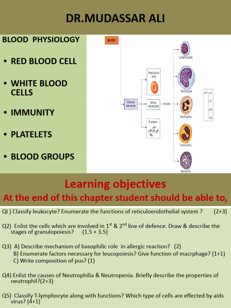 Physiology Tissue Typing | PDF | Immune System | Granulocyte