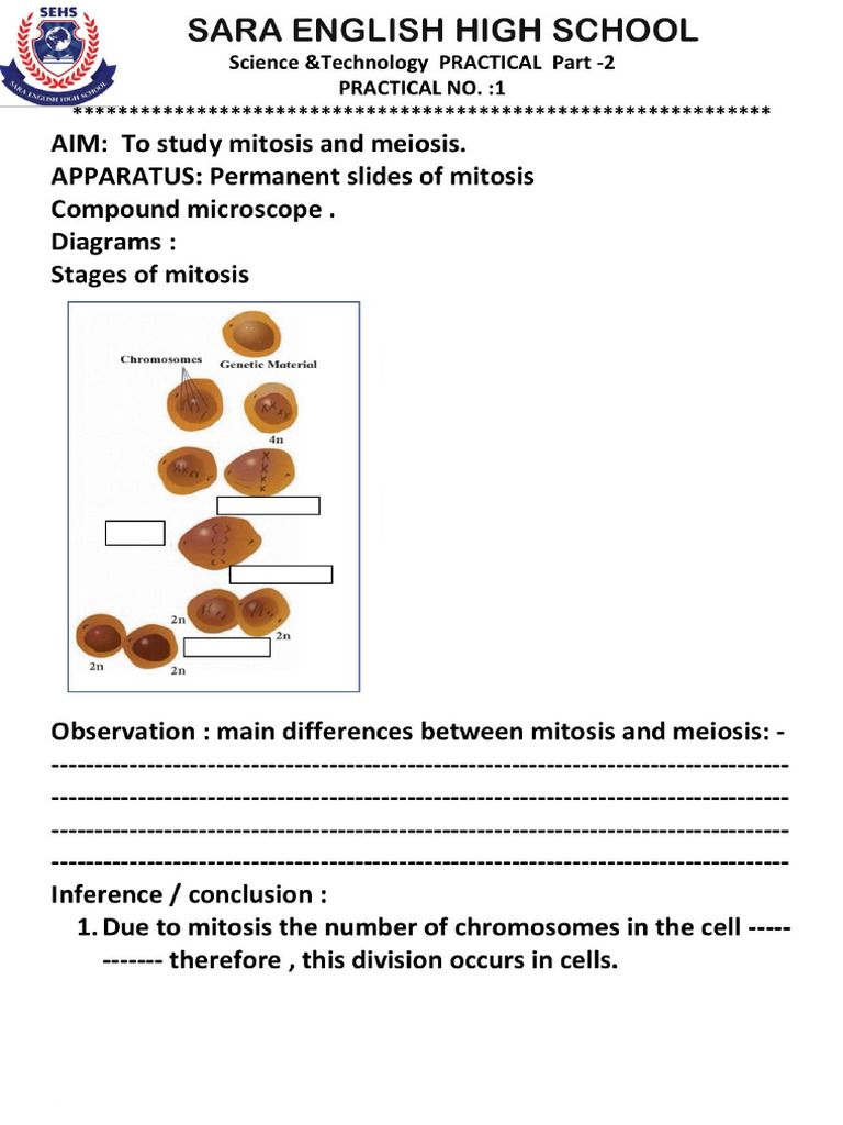 Science Part - 2 Practical Questions | PDF