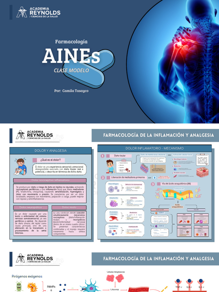 CLASE AINES | PDF | Inflamación | Dolor