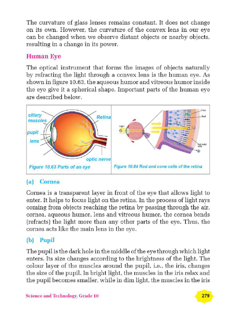 Class 10 Science and Technology English Version Book Download Wave IV | PDF