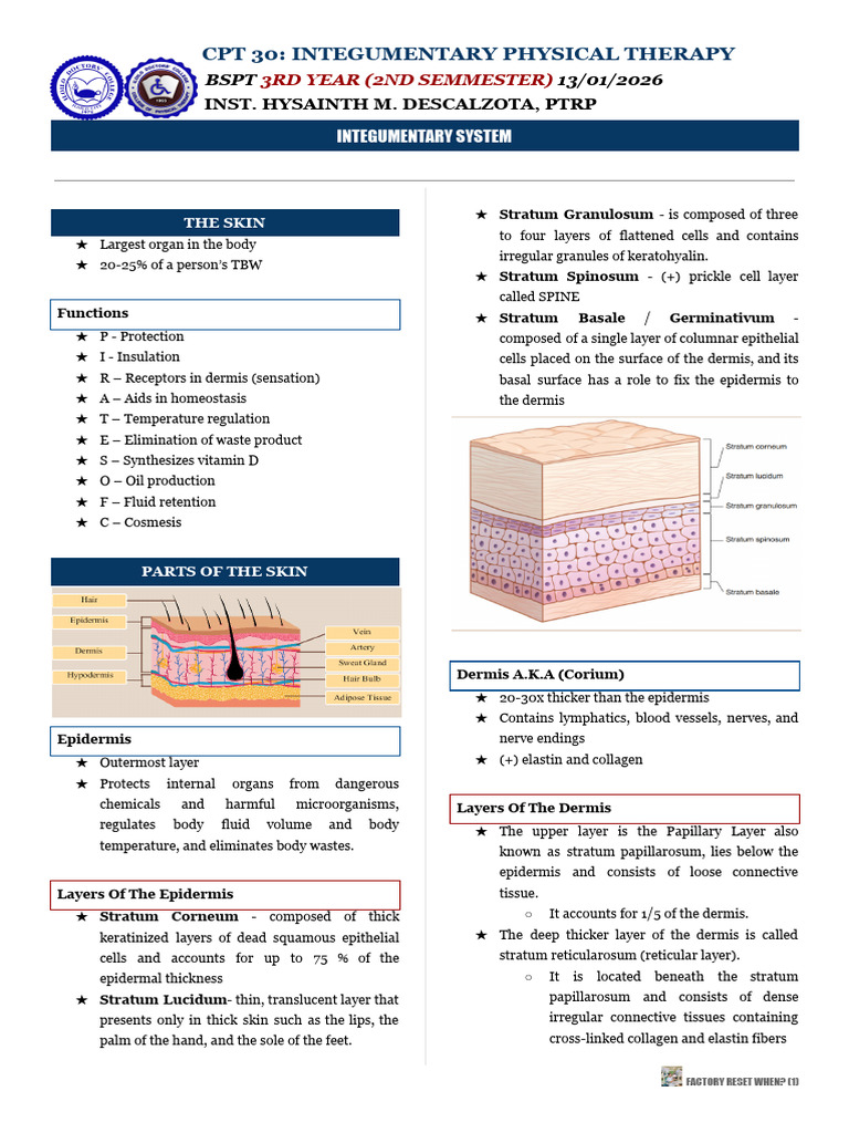 CPT 30 - Integumentary Physical Therapy (Integumentary System) | PDF ...