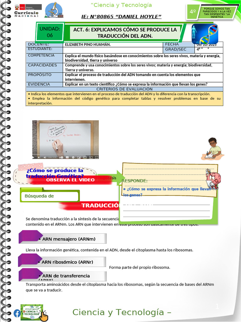 Bb-4º Act 6-Trad. Adn-ua 6-6 Octubre | PDF | Traducción (biología ...
