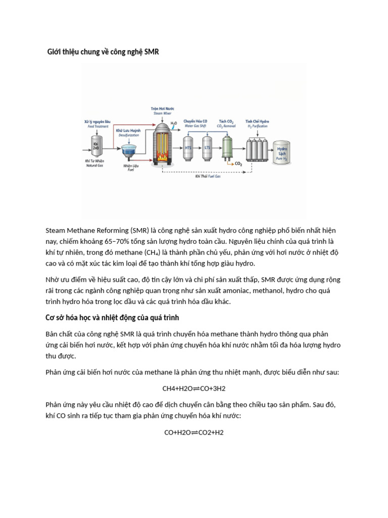 4 Vquang THHC HD Quá Trình SMR | PDF