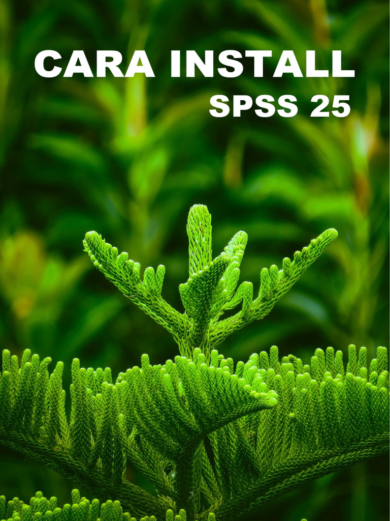 Cara Instal Spss 25 | PDF