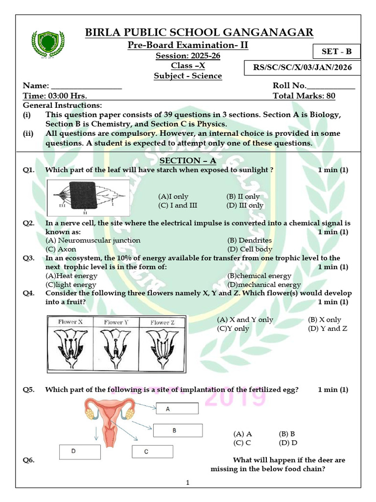 Science - Class 10 Pre Board 2 Set B | PDF | Redox | Oxide