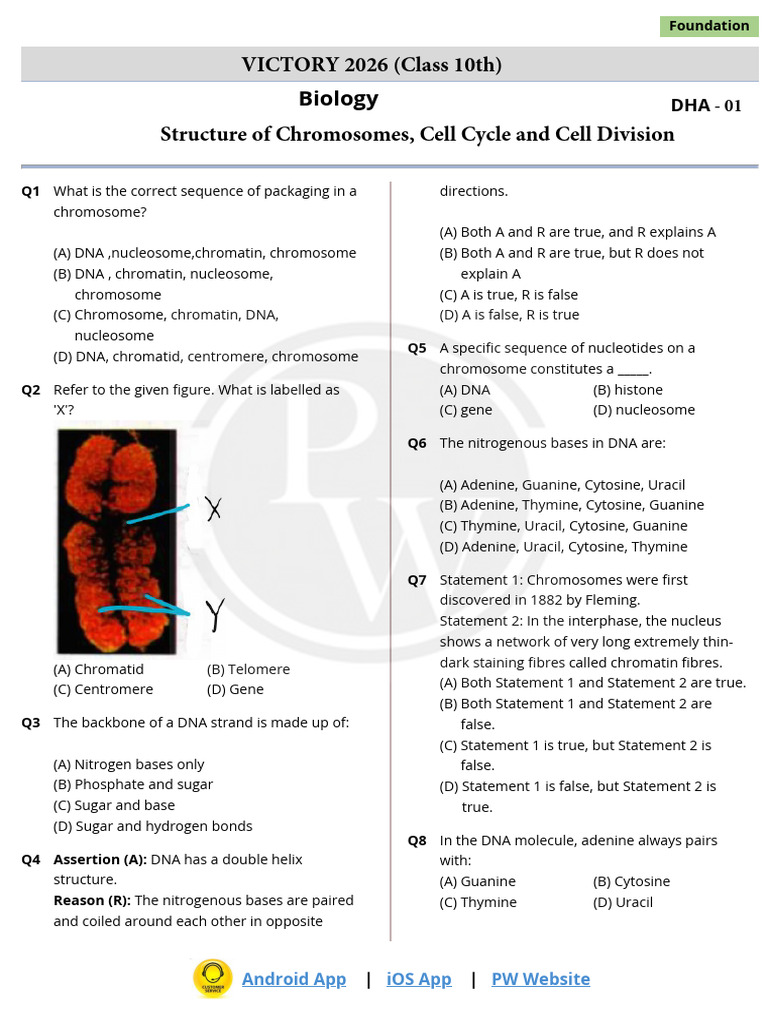 Structure of Chromosomes, Cell Cycle and Cell Division DHA 01 | PDF ...