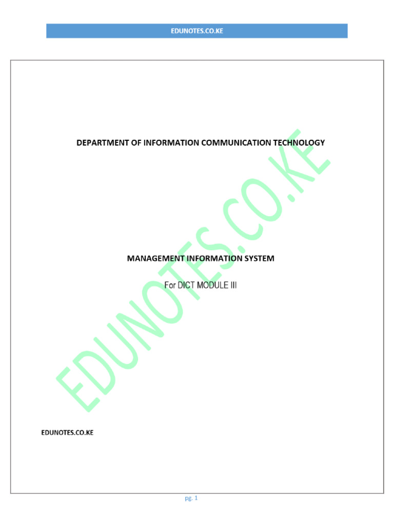 Management Information System Notes - EDU NOTES | PDF