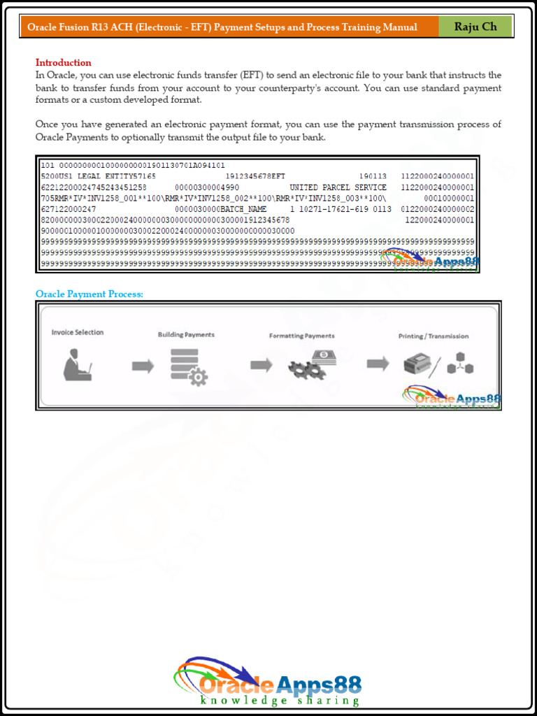 Oracle Fusion Electronic Payment Process Setups | PDF | Accounts ...