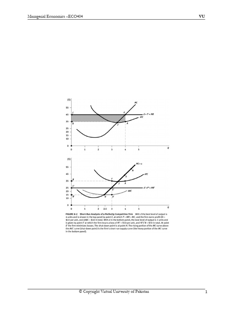 Lesson 26 | PDF | Long Run And Short Run | Economic Surplus
