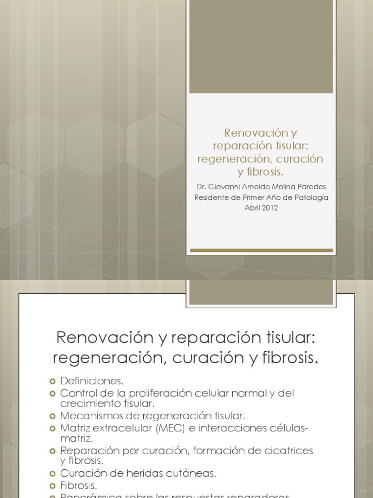 Renovación y Reparación Tisular. Regeneración, Curación y Fibrosis ... Renovación y Reparación Tisular. Regeneración, Curación y Fibrosis ...