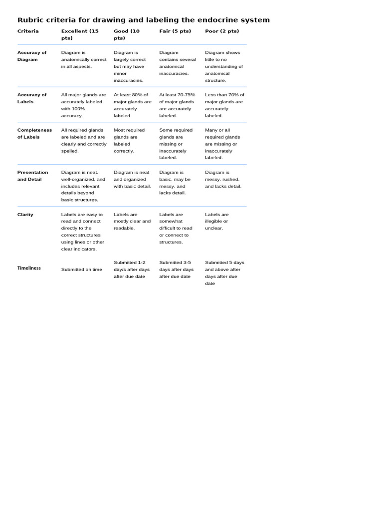 Rubric Criteria For Drawing and Labeling The Endocrine System | PDF