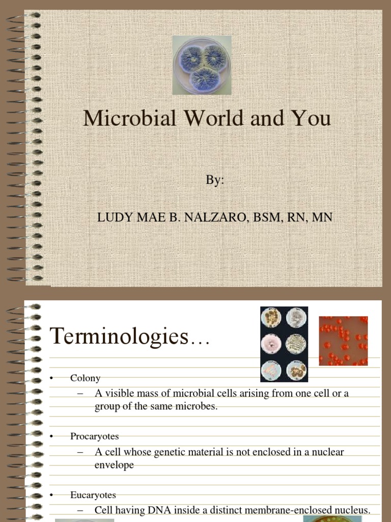 Understanding The Microbial World Pdf Microorganism Microbiology
