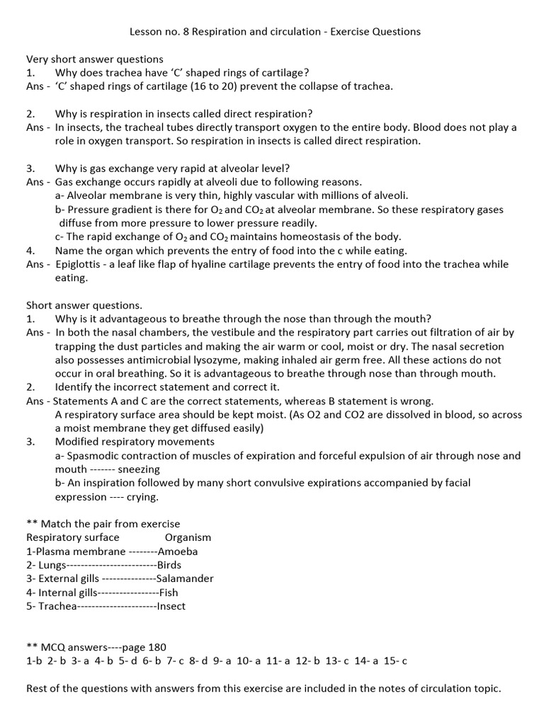 Respiration Exercise Questions | PDF | Respiratory System | Breathing