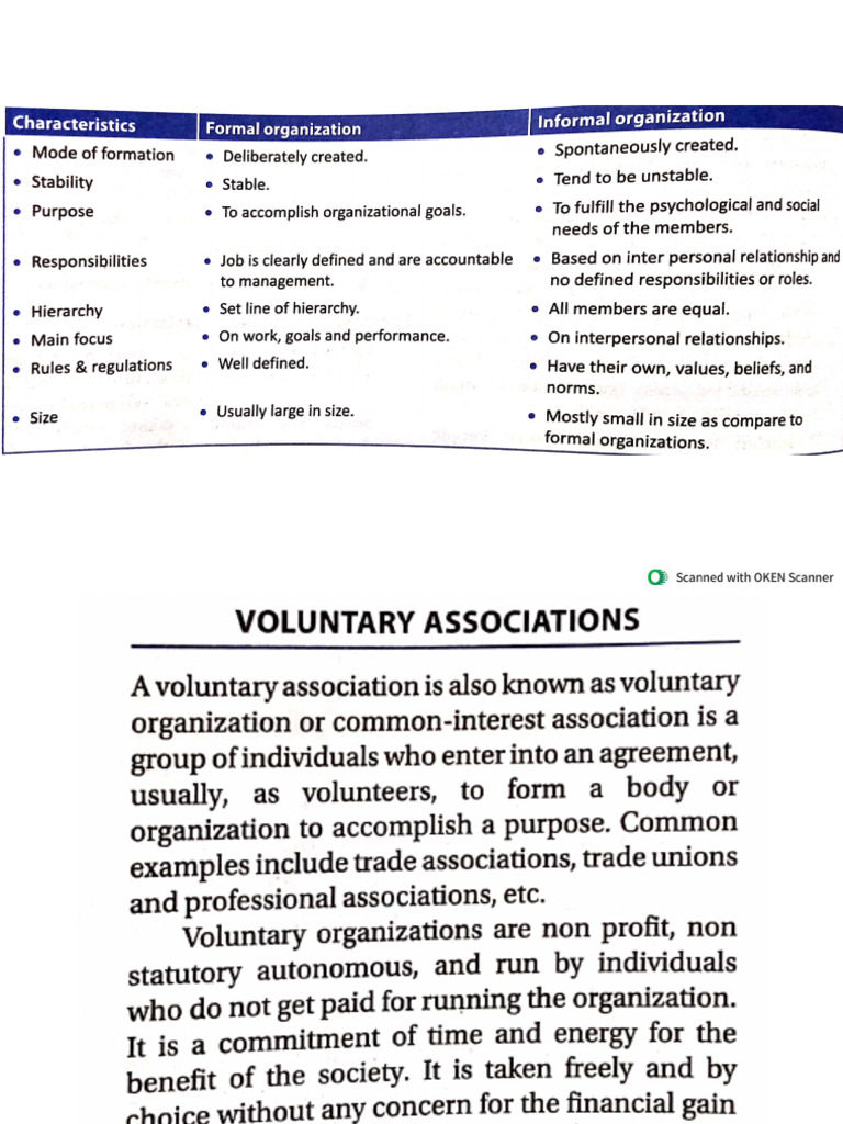 socio organization and disorganization | PDF