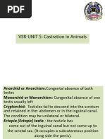 Burdizzo Method of Bovine Castration | PDF | Medicine | Male Mammals