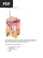 DU Test Procedure Overview | PDF