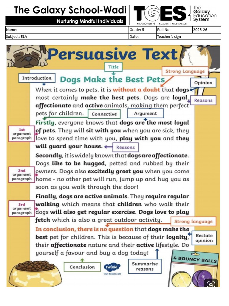25-26 G5 Persuasive Writing Samples | PDF | Learning | Cognition