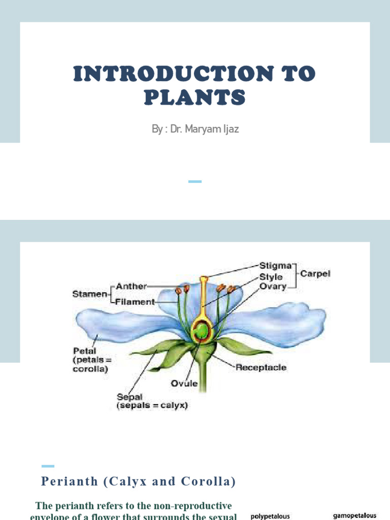 Introduction To Plants-1 | PDF | Petal | Flowers