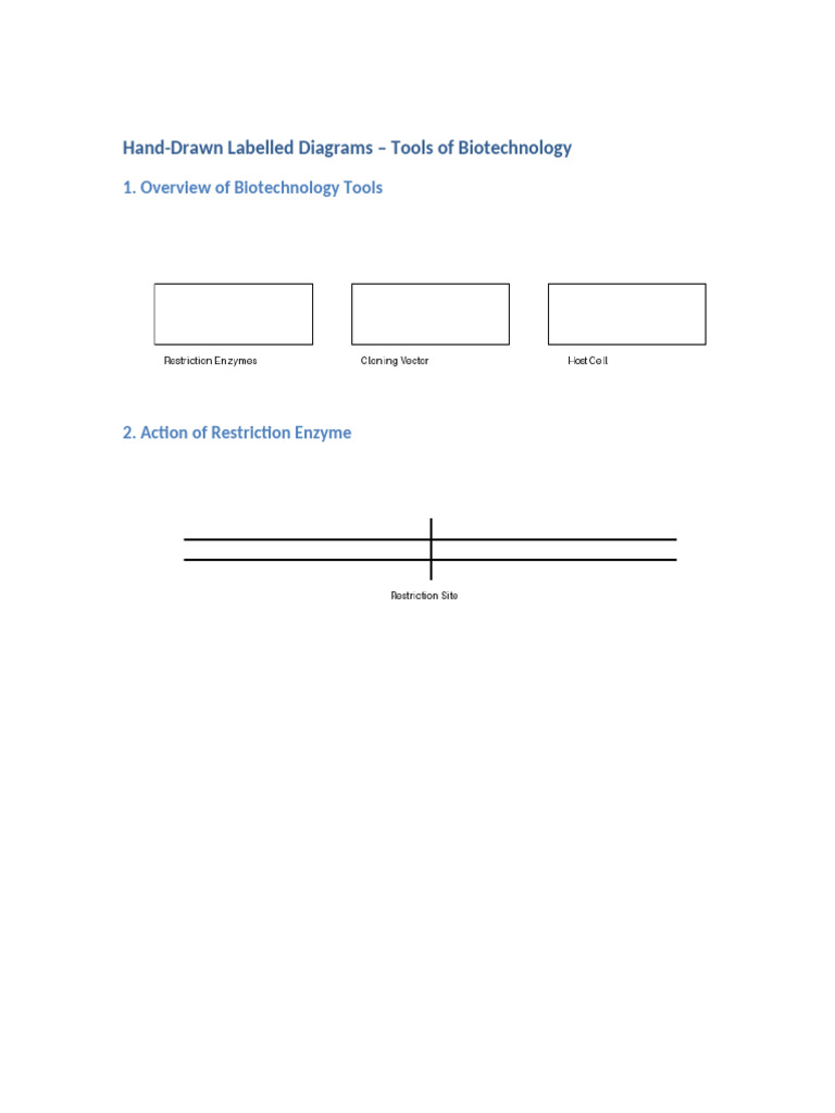 Hand Drawn Labelled Biotechnology Diagrams | PDF