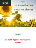 Le Carpelle : Organe des Angiospermes | PDF | Fruit | Embryon