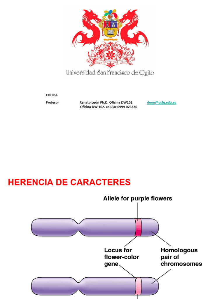 Genetica Mendel (1) | PDF | Dominancia (Genética) | Biología