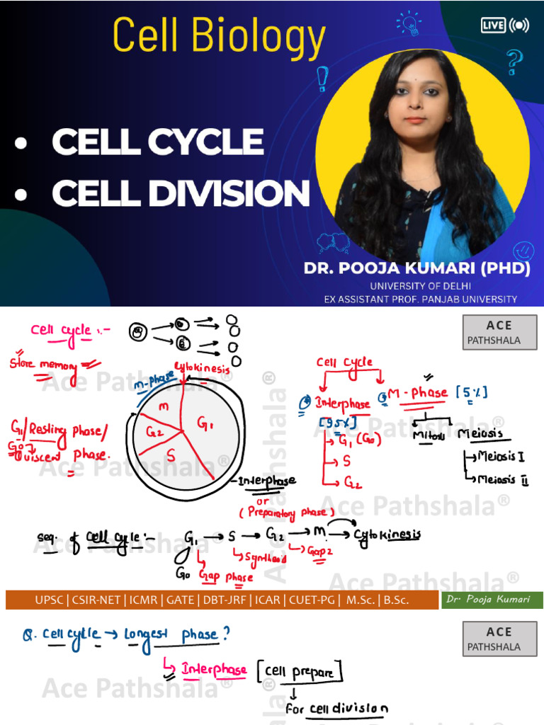 Cell Cycle and Division | PDF