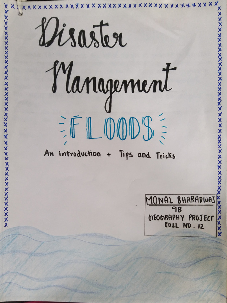 Disaster Management Project | PDF | Earth Sciences | Earth Phenomena