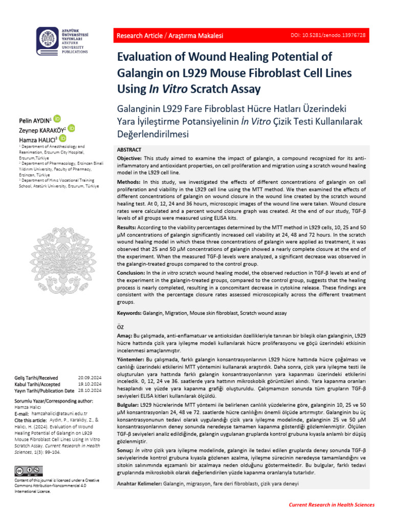 Evaluation of Wound Healing Potential of Galangin On L929 Mouse ...
