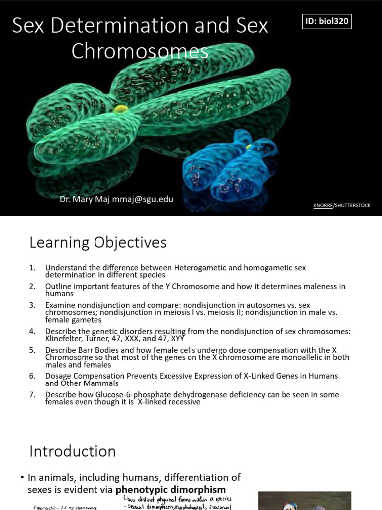 2.1 Sex Determination and Sex Chromosomes | PDF | Meiosis | Sex