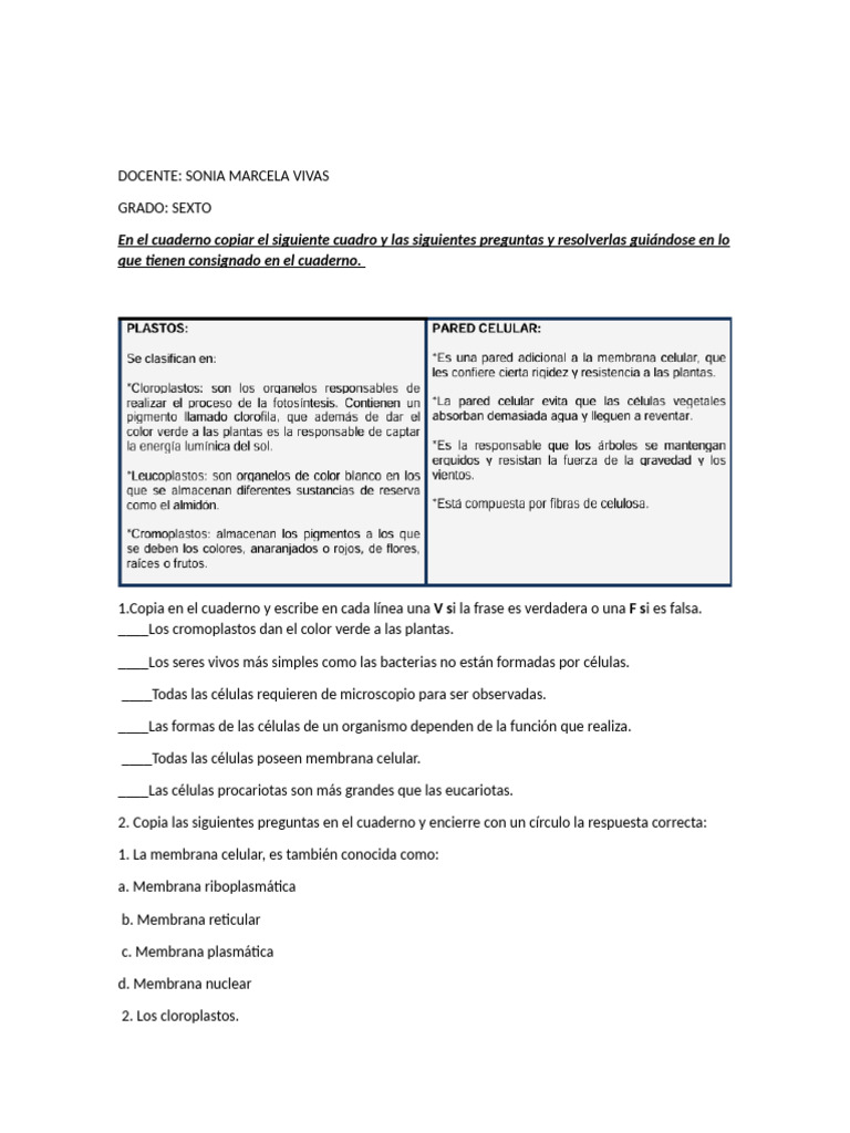 Actividad Células, Grado Sexto. | PDF | Citoplasma | Biología Celular)