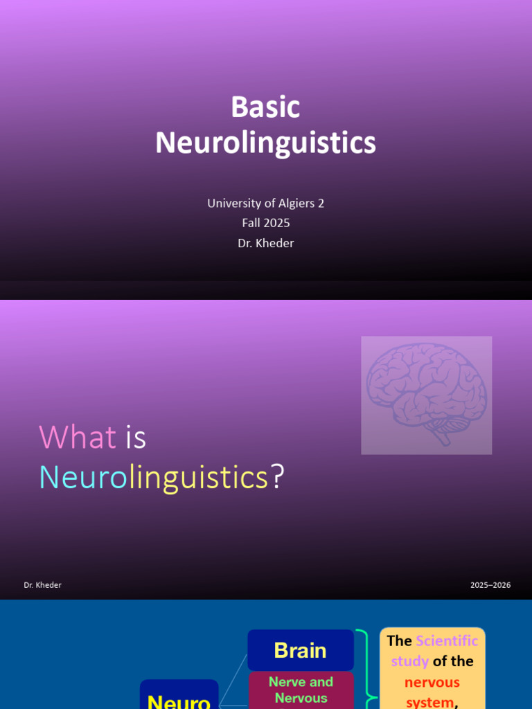 مح1انجليزية⁩ | PDF | Neurolinguistics | Human Brain