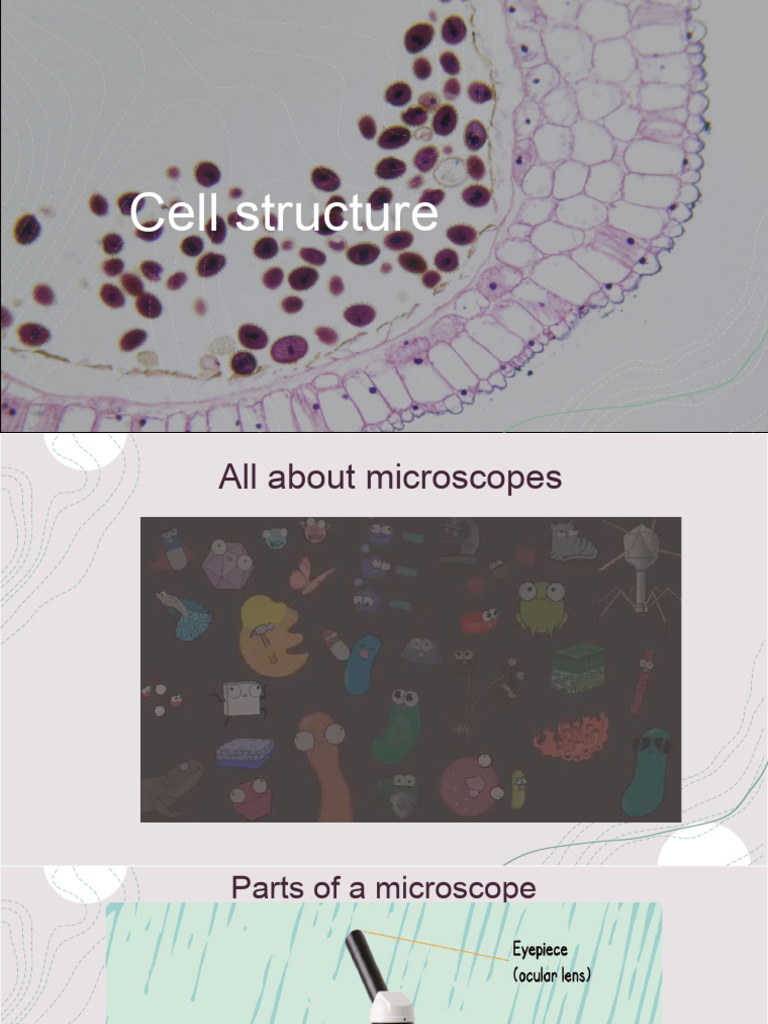 Cells | PDF | Cell (Biology) | Microscope