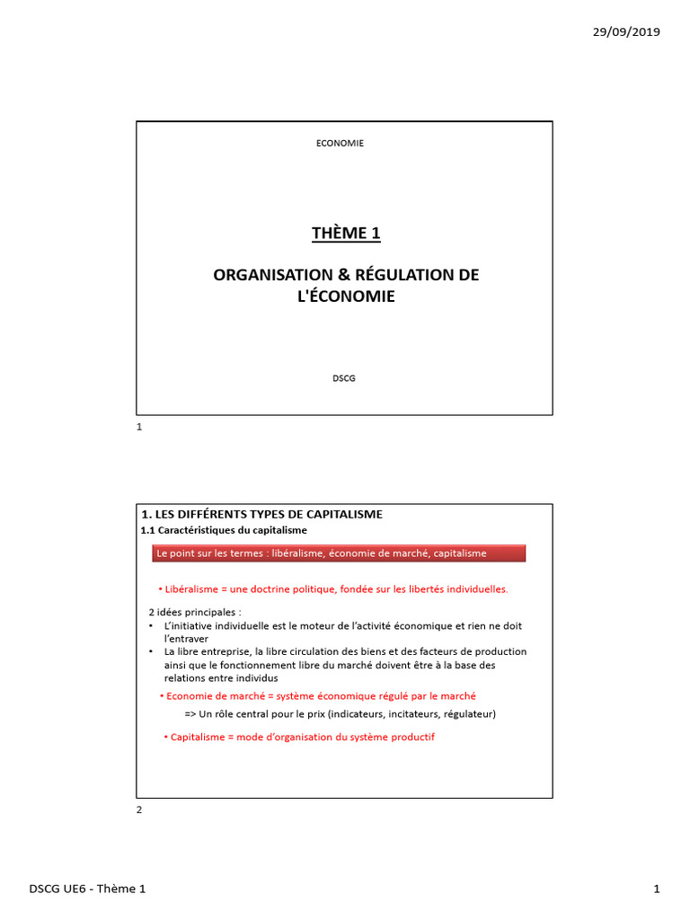 Diapos Thème 1 | PDF | Monopole | Capitalisme