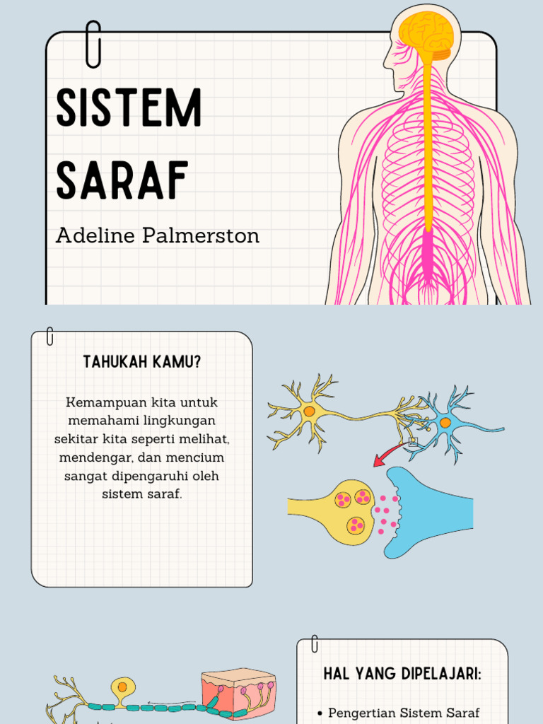 Biru Muda Ilustrasi Sederhana Presentasi Sistem Saraf - 20260120 ...