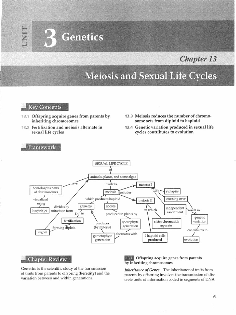 Unit 5 | PDF