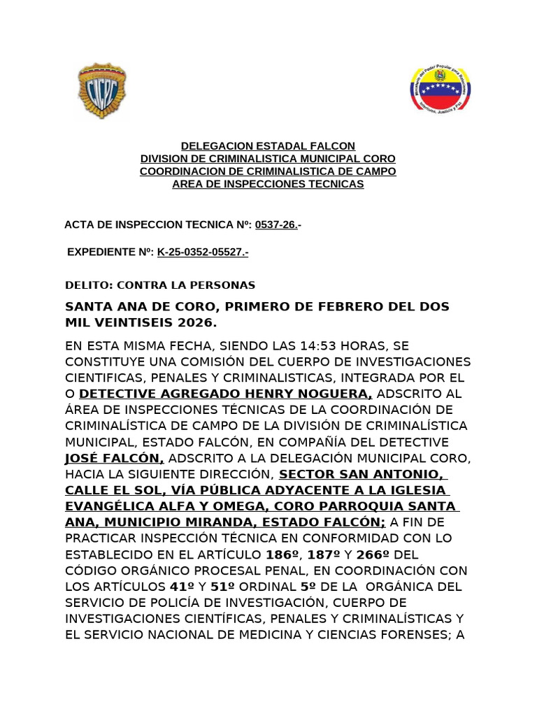 Inspecion Tecnica Falcon | PDF | Ciencia forense