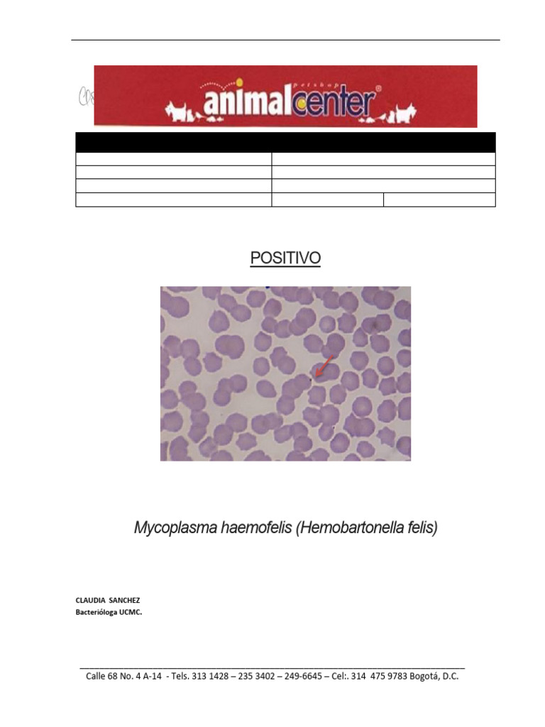 Ago. Hemobart Aristo | PDF