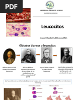 Morfología de Mielocitos y Metamielocitos | PDF | Linfocitos | Nucleo ...