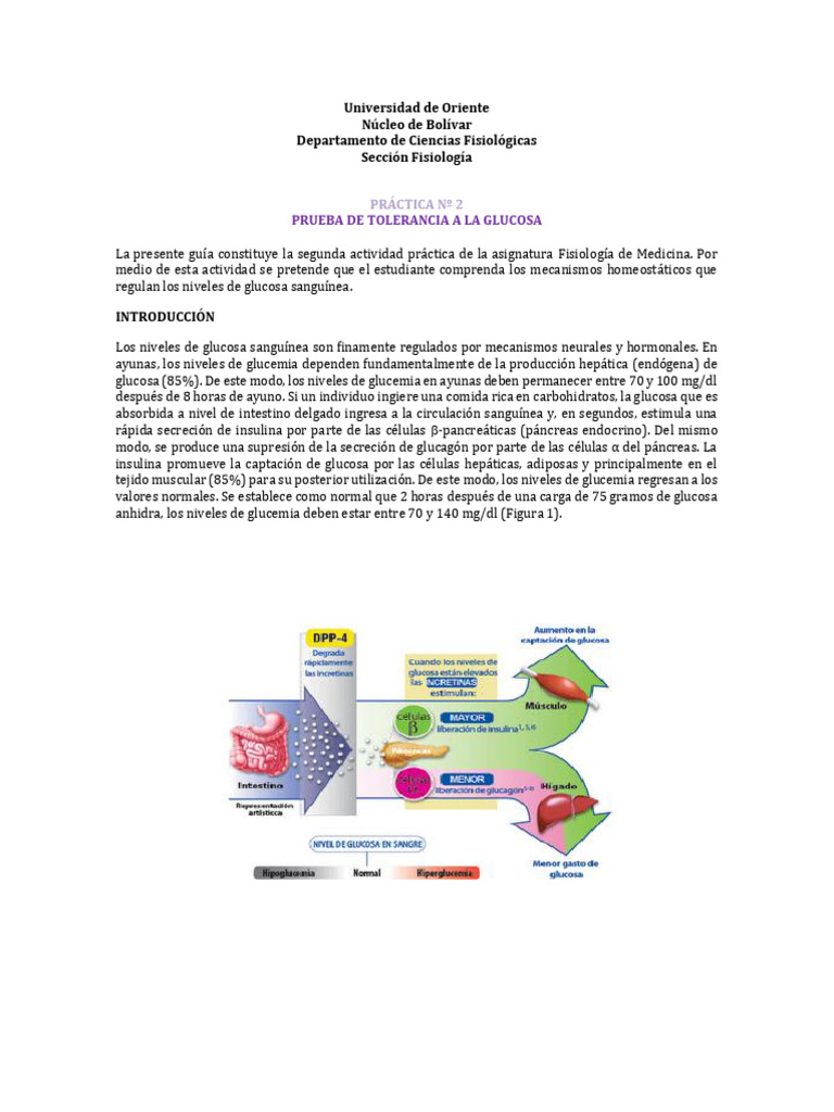 Práctica Nro 2 - Prueba de Tolerancia A La Glucosa | PDF | Insulina ...