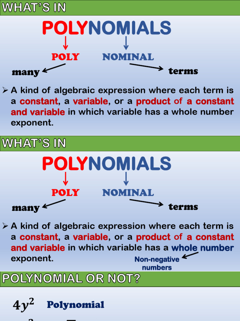 POLYNOMIALS | PDF | Polynomial | Variable (Mathematics)