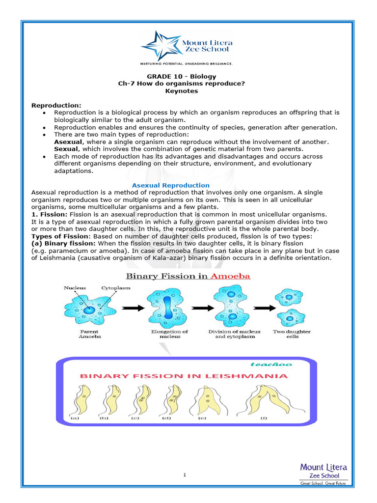 Grade 10 - Science-How Do Organisms Reproduce Key Notes | PDF | Flowers ...