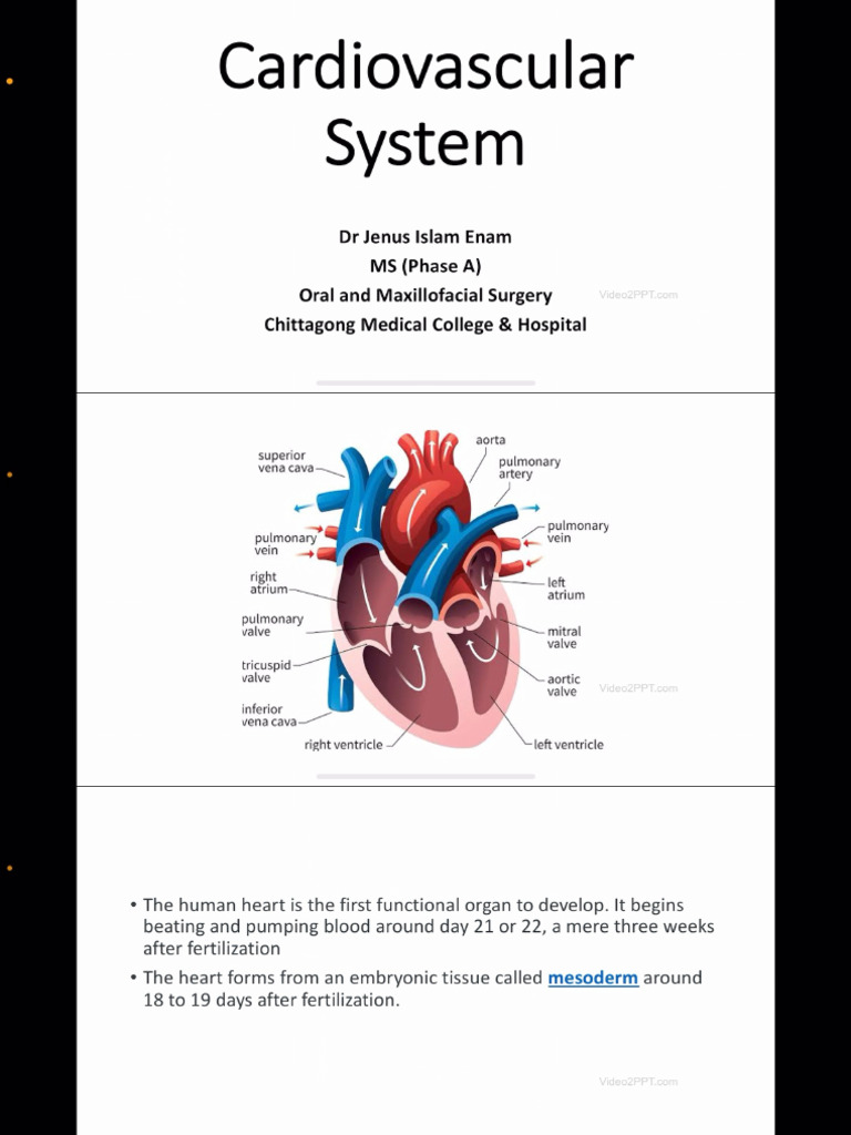 Cvs Part 1 | PDF