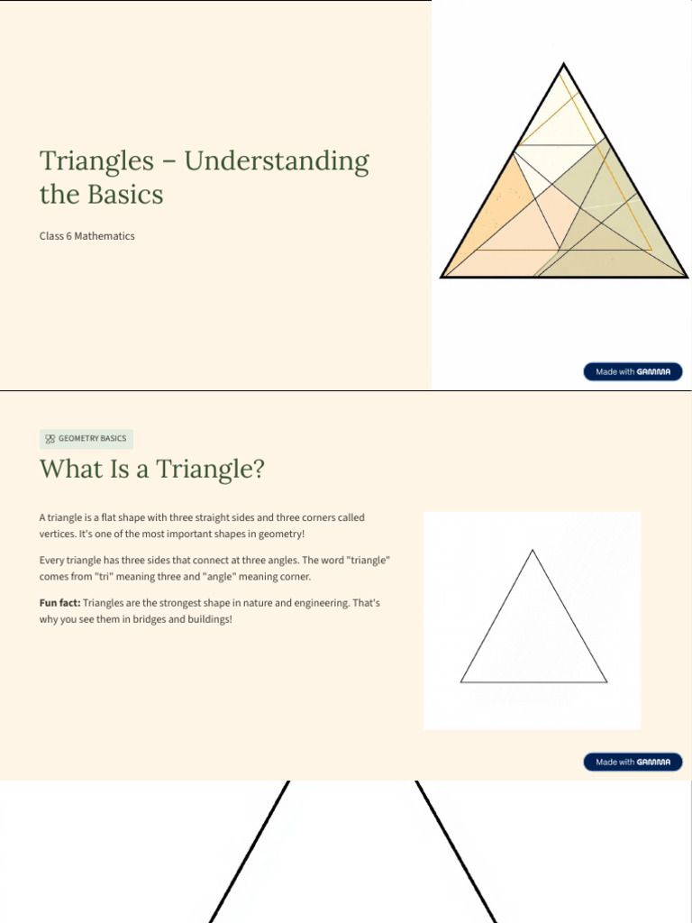 Triangles Understanding the Basics | PDF | Triangle | Polytopes