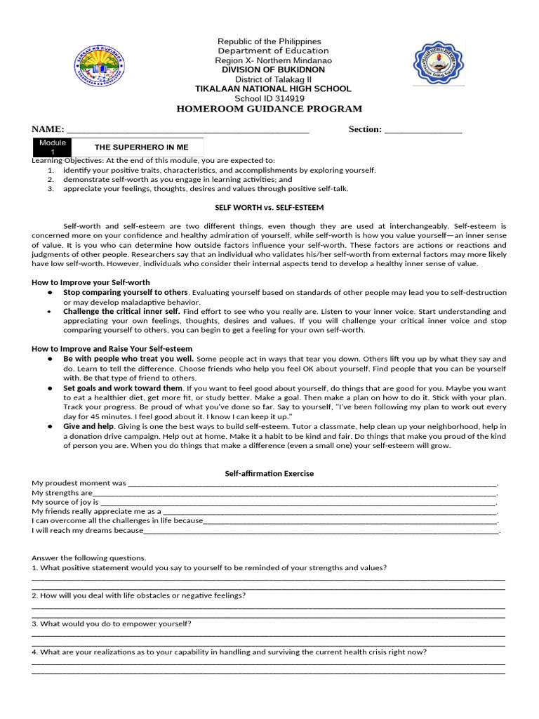 HGP Modules and Activity | PDF | Self Esteem | Bullying